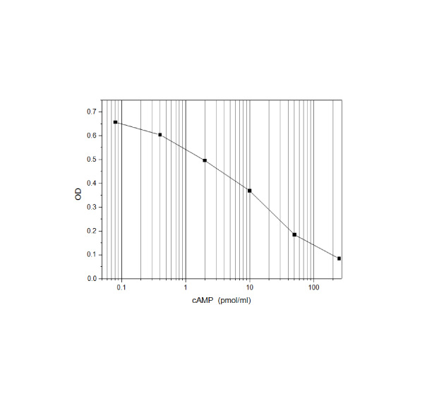 cAMP EIA Kit - No Acetylation - NewEast Biosciences - GTPase, Oncogene ...